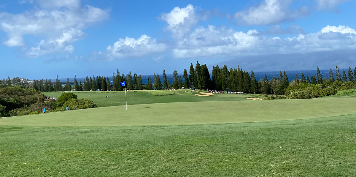 Using Golf Data Analytics to Improve Your Game | Rapsodo® Golf